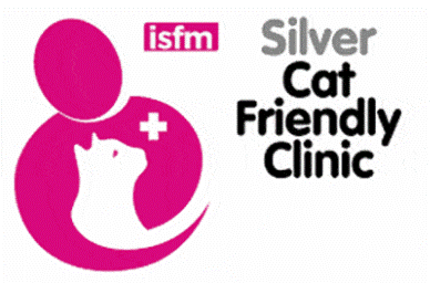 Damory Vet Clinic | 24/7 Animal Care in the Heart of Dorset