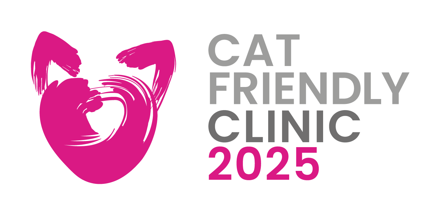 Damory Vet Clinic | 24/7 Animal Care in the Heart of Dorset